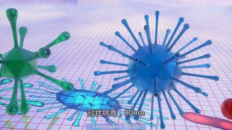病毒大小对比:一分钟带大家了解各种病毒的大小是多少