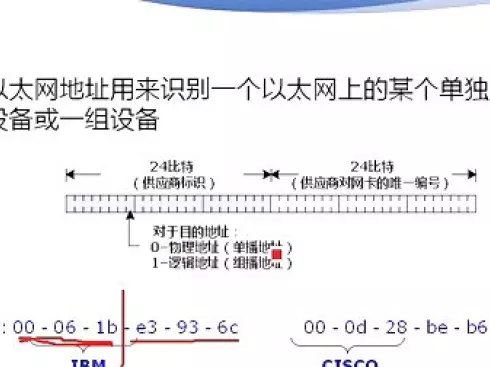 计算机网络基础3.2:OSI七层模型各层功能详解及以太网工作原理