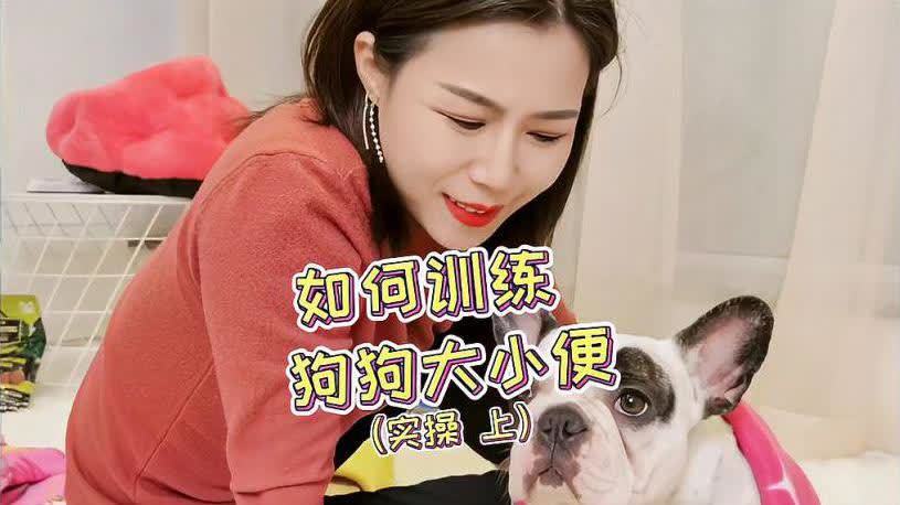 迪妈答应你们的训练狗子定点大小便的教程来啦~!