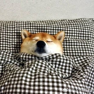 为什么不可以重复昵称