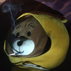 噜噜伽 