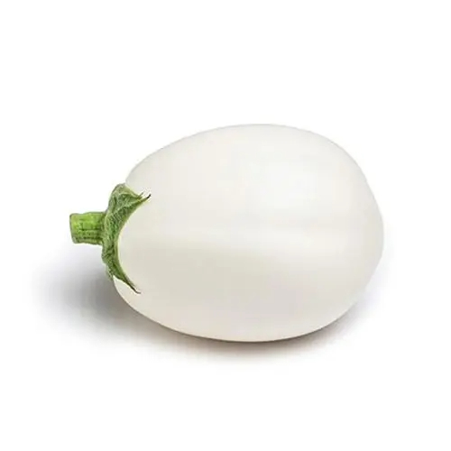 落苏白丶 