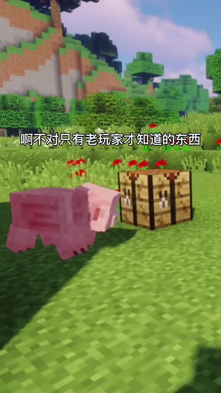 我的世界之搞笑:打开,全部打开!