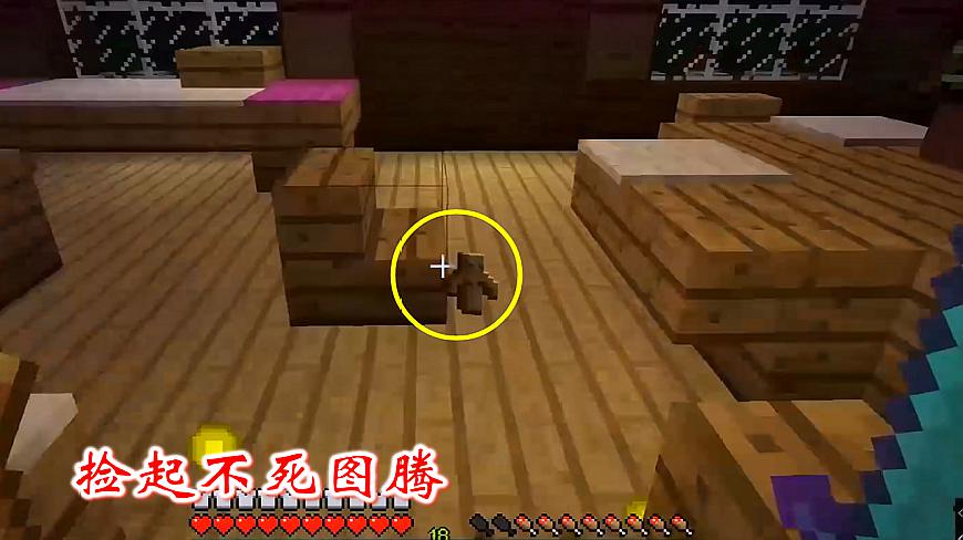 我的世界联机220:在林地府邸再次捡到不死图腾,密室却不见踪影