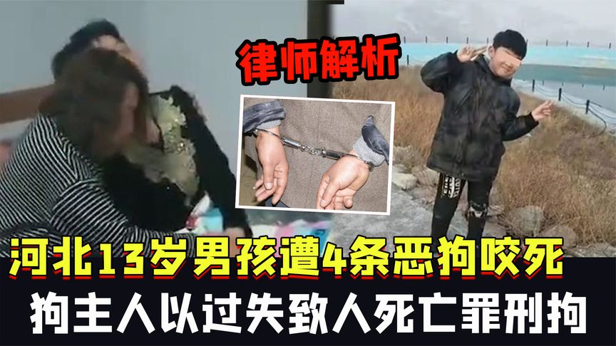 河北一男孩遭4条狗咬死,狗主人以过失致人死亡罪刑拘,律师解析
