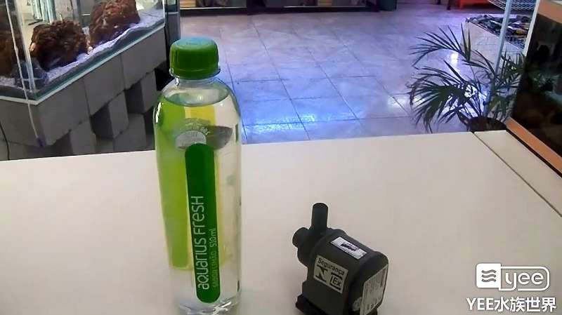 制作一款免费的鱼缸内置过滤,小型鱼缸的首选