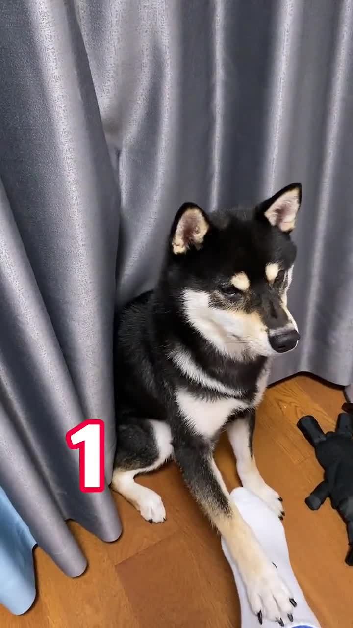 不知道有没有数对,但是应该没错吧