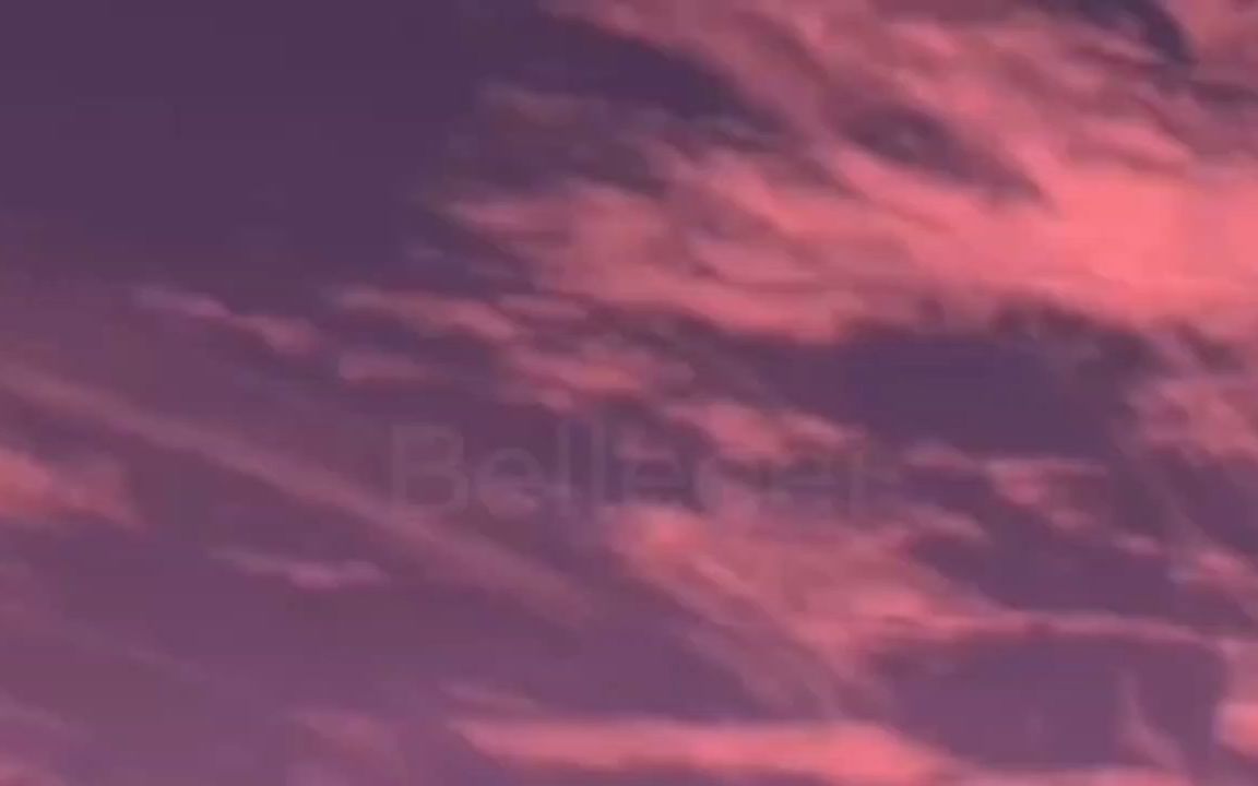 樱校独居生活日记碎片,如何玩转樱校模拟器