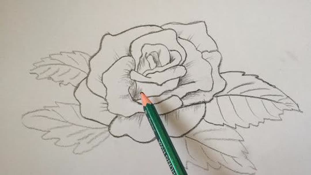 教你一招,快速画漂亮玫瑰花!