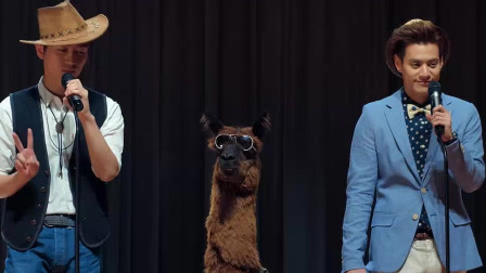 男子和舍友带着羊驼毕业晚会上表演,老师气炸了