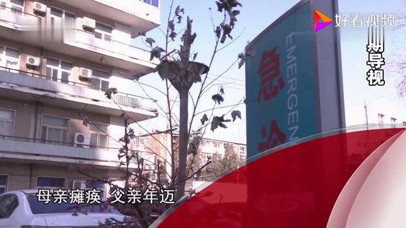 《今日说法》是是非非三兄妹。