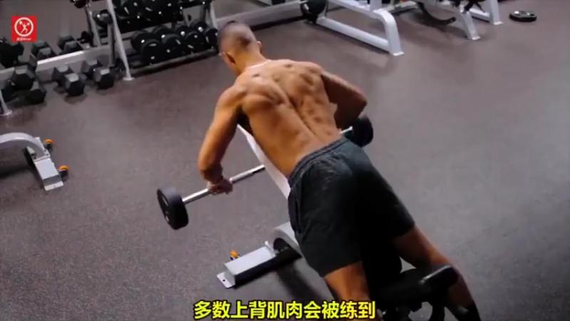 最适合新手的健身房全身训练计划表,别再没计划的瞎练!开始这样做吧!