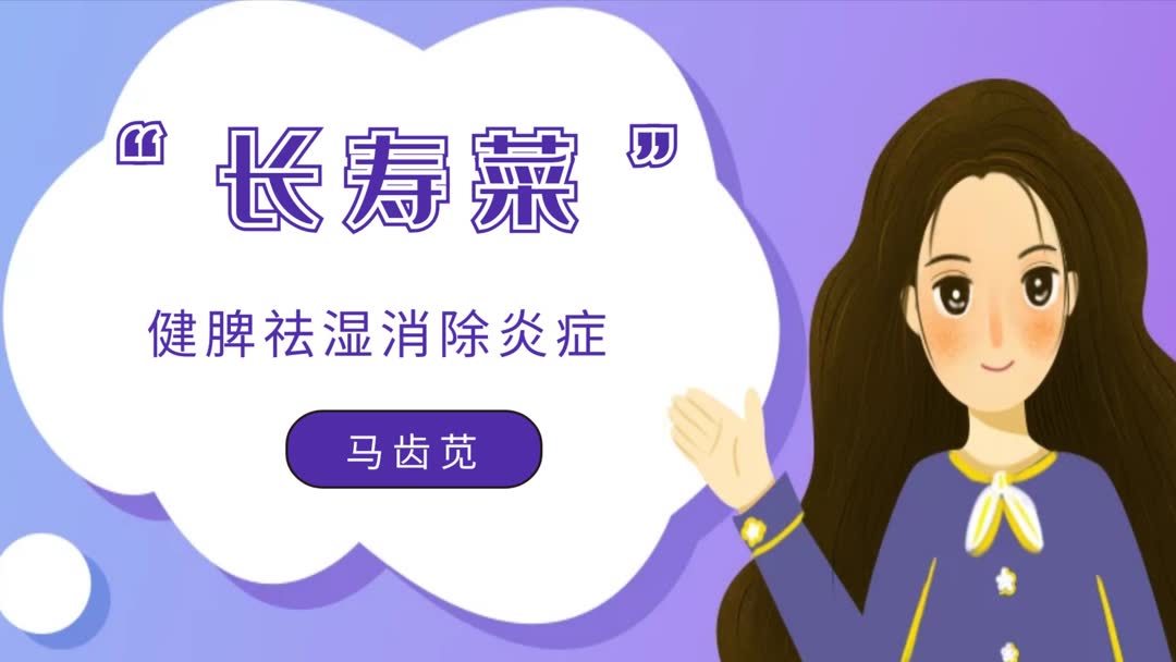 马齿苋“长寿菜”,与芡实搭配熬汤喝,健脾祛湿消除炎症
