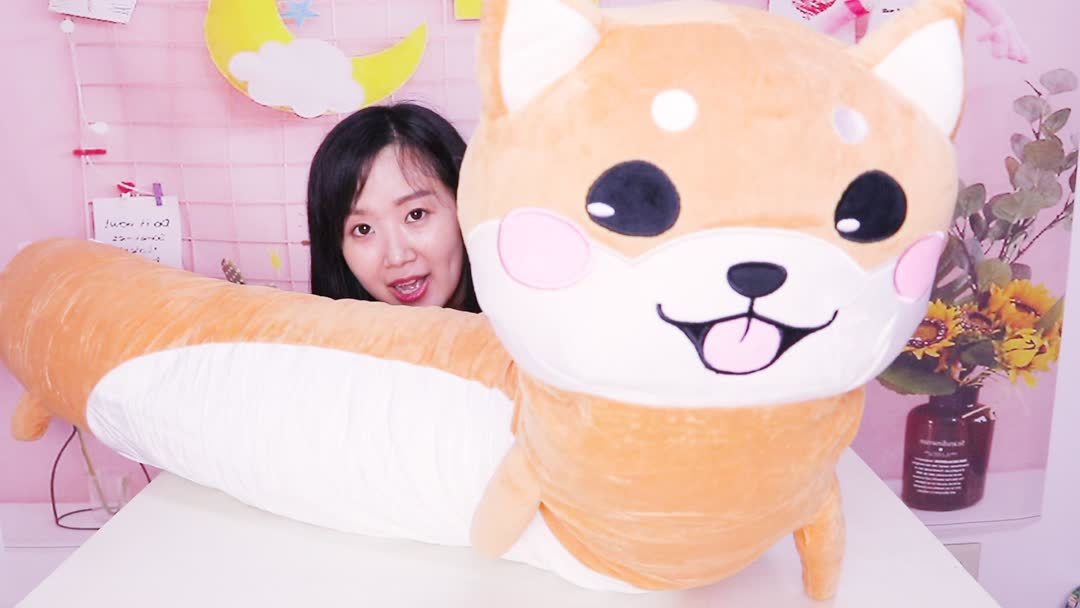 家里有一个快递,打开以后竟然是一人高的玩具狗,小浪送给谁的?