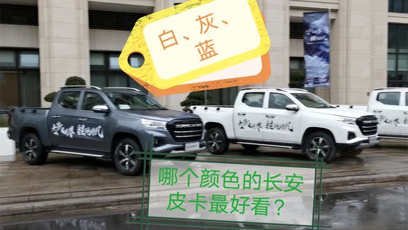 实拍三种主打色的长安大皮卡,哪个颜色最好看?