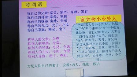 交际中的语言运用
