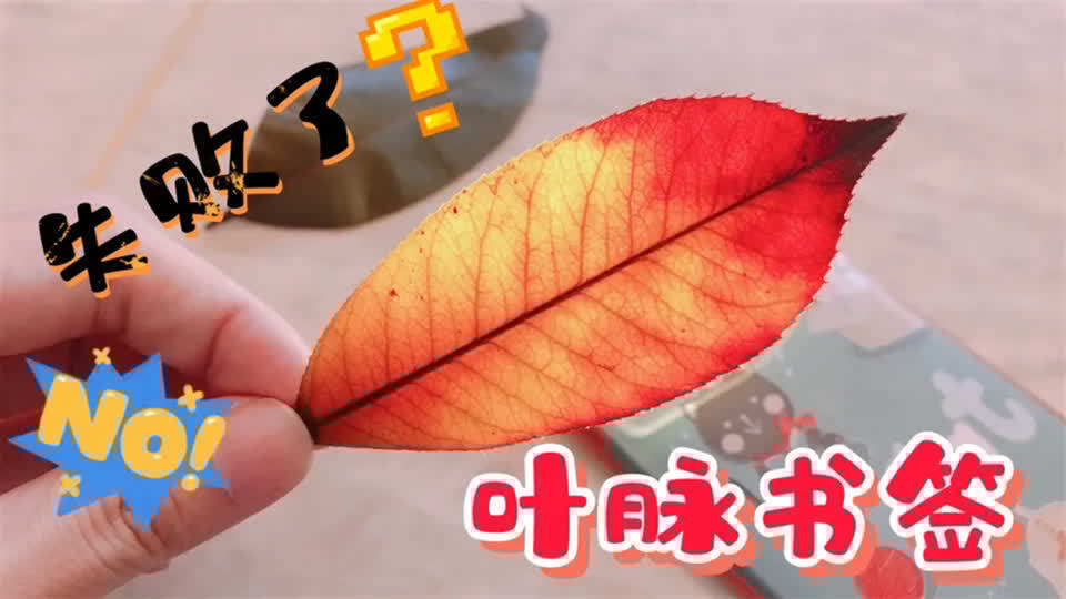 创意手工:小姐姐制作精美的叶脉书签