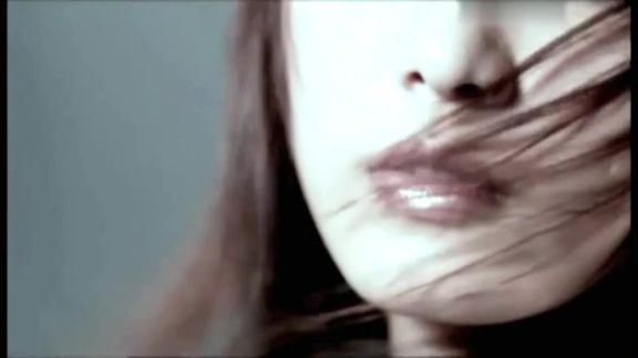 2009年这首歌一上线,就被大众传唱,街边小店每天都有播放。