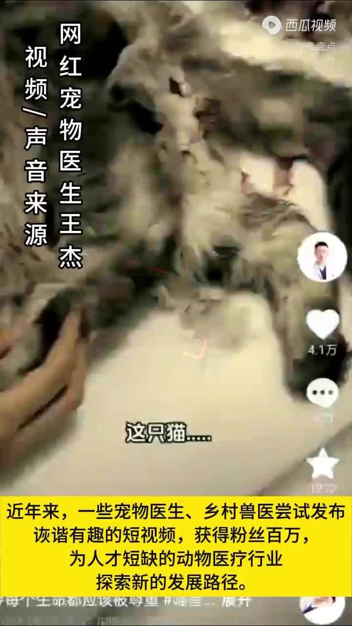 果然视频|他用RAP记录宠医故事涨粉百万,探索行业发展新路径