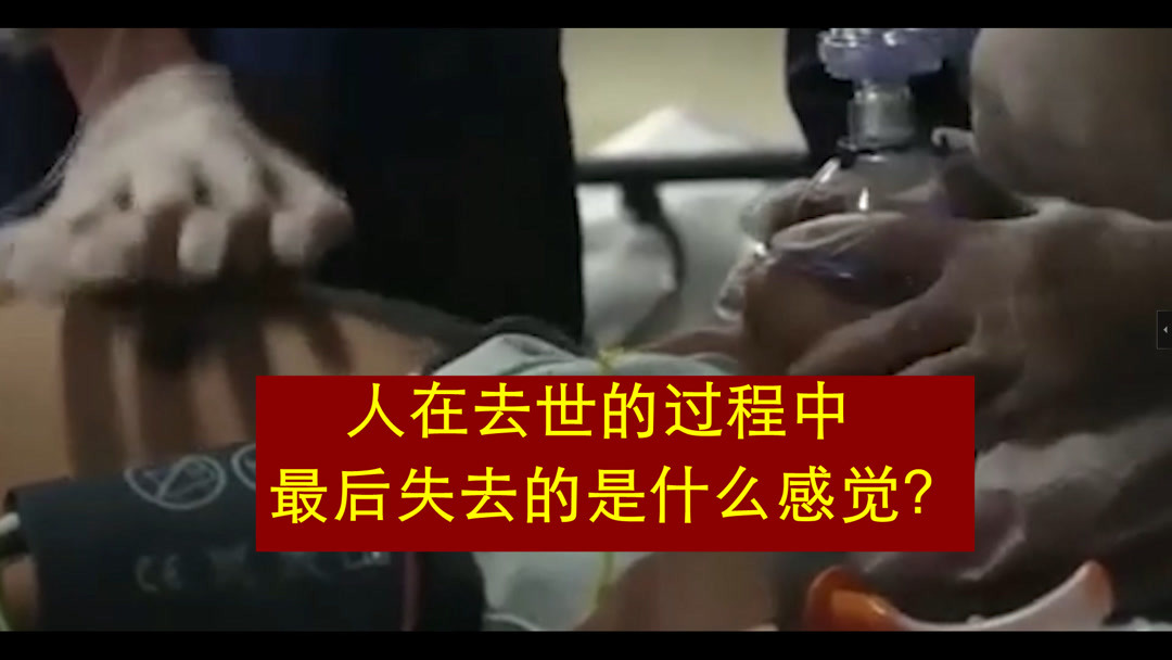 【一语冷知识】人在去世的过程中最后失去的是什么感觉?