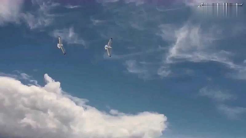 2020年丰田花冠-你想知道的一切-全新的丰田花冠