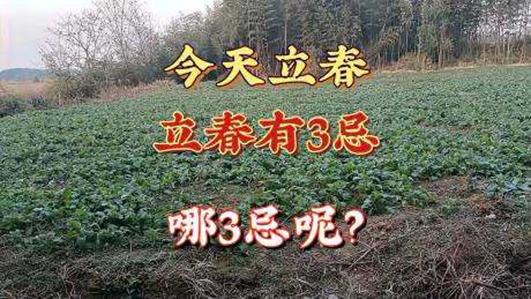 今天立春,“立春有3忌”,具体指的什么?来了解一下
