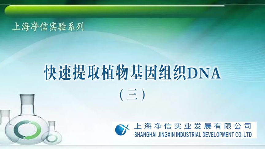 净信实验系列——快速提取植物基因组织DNA(三) #实验