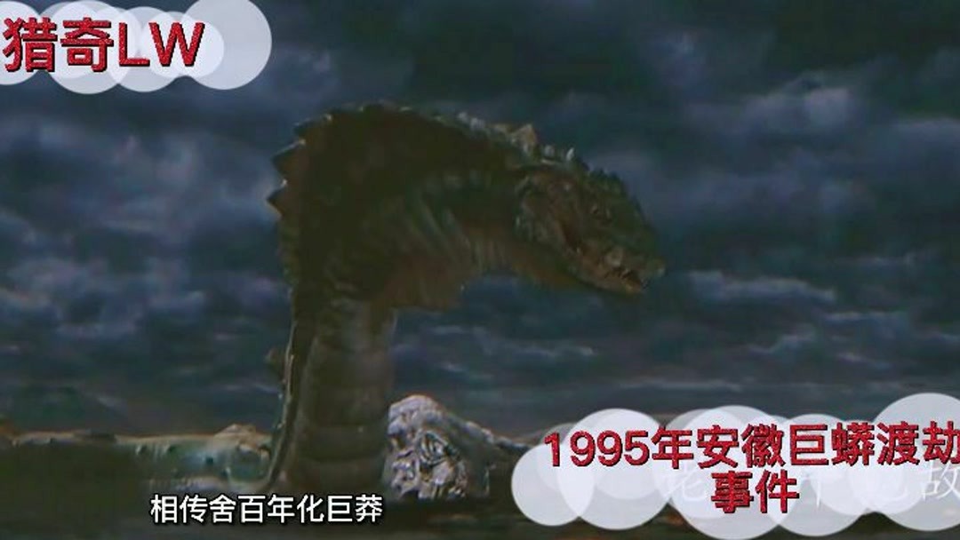 1995年安徽巨蟒渡劫事件