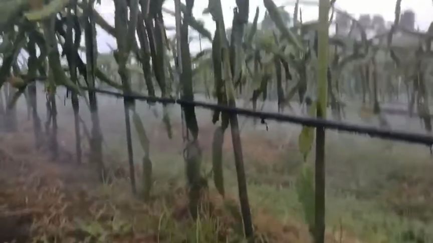 G型折射雾化微喷头应用的效果