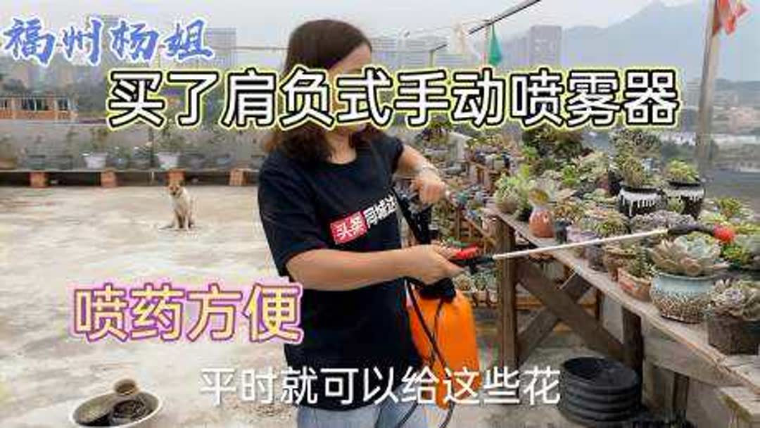 为了养花买了监护式手动喷雾器,立即给花儿盆要求,好用方便!