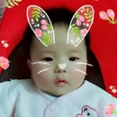 意写诗情 