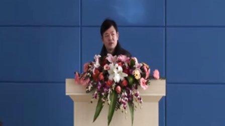 鞍山市模拟联合国培训视频2