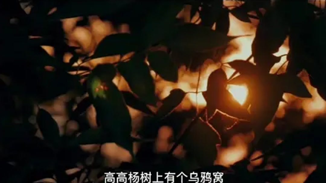 歌曲欣赏【两只懒乌鸦】
