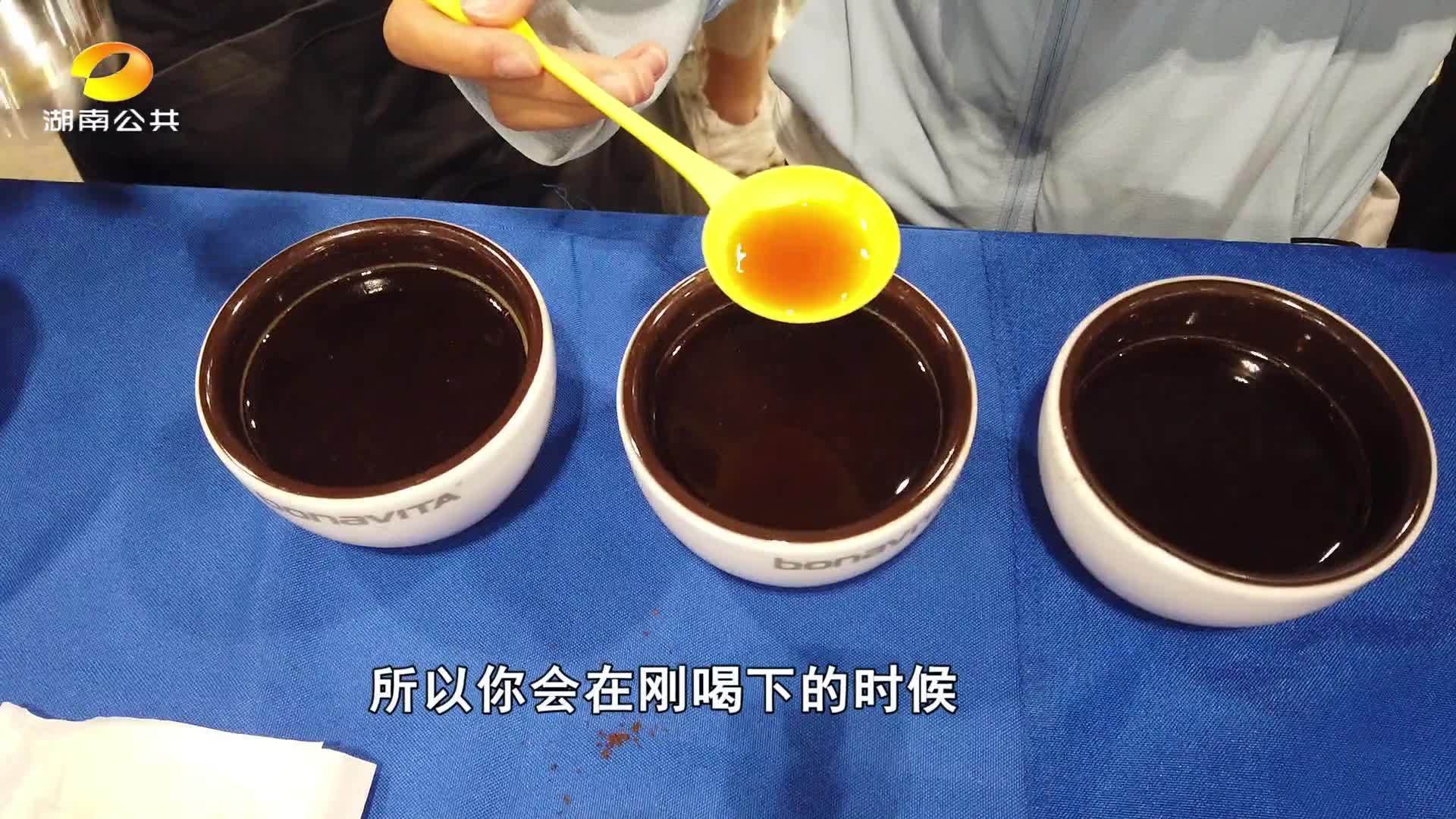 非洲五国咖啡品鉴暨推介会:有口福了!来尝尝非洲的咖啡