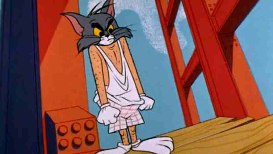 猫和老鼠全集第108集