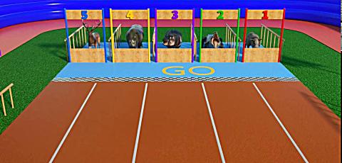 动物大聚会游戏 认识颜色 数字动物 婴幼儿玩具动画英语启蒙