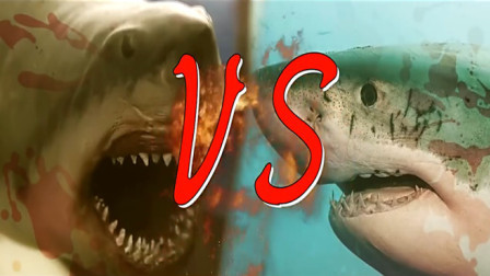 巨齿鲨VS大白鲨,巨齿鲨:你都不够我塞牙缝的!
