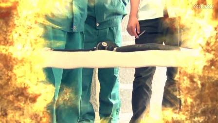 大连地铁通信信号分公司 祝全市人民 新春快乐 鸡年大吉