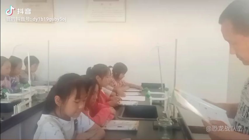 三年级下册实验