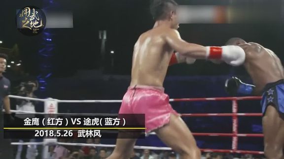 中国“小哪吒”金鹰又赢了!无敌重拳暴揍比自己大一圈的外国悍将