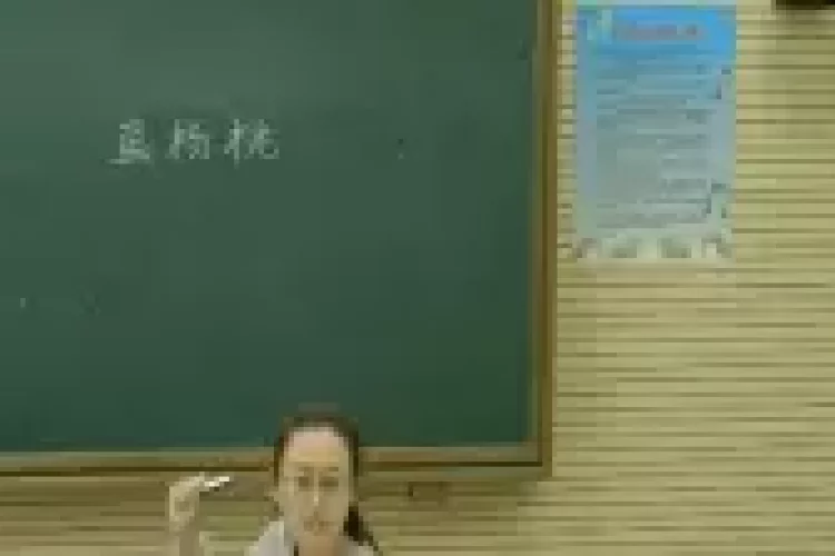 ...语文下册《13 画杨桃》【杨老师】【省级】优质课视频(配课件教案)