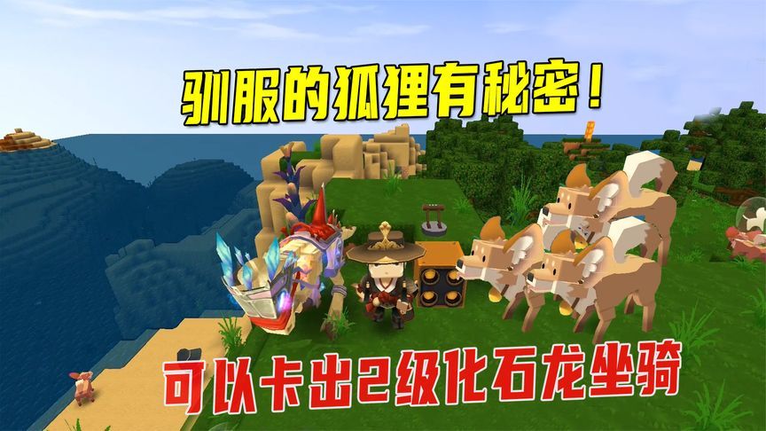 迷你世界:驯服的...