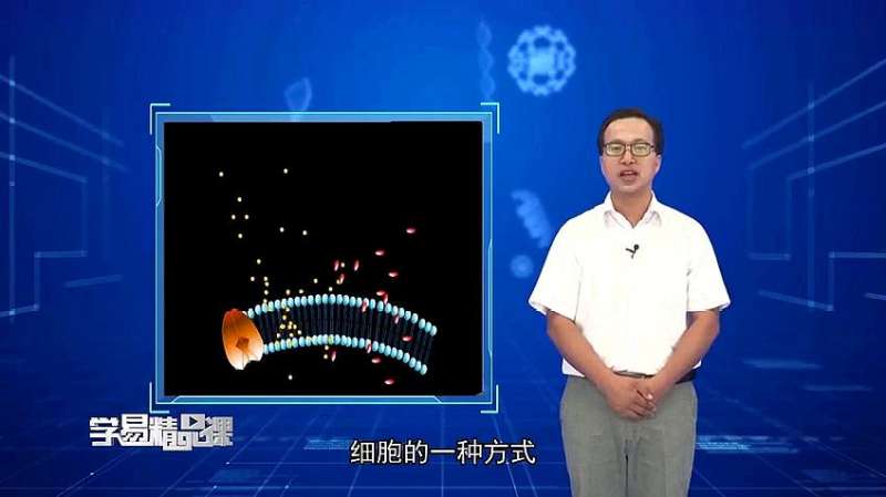 主动运输和被动运输