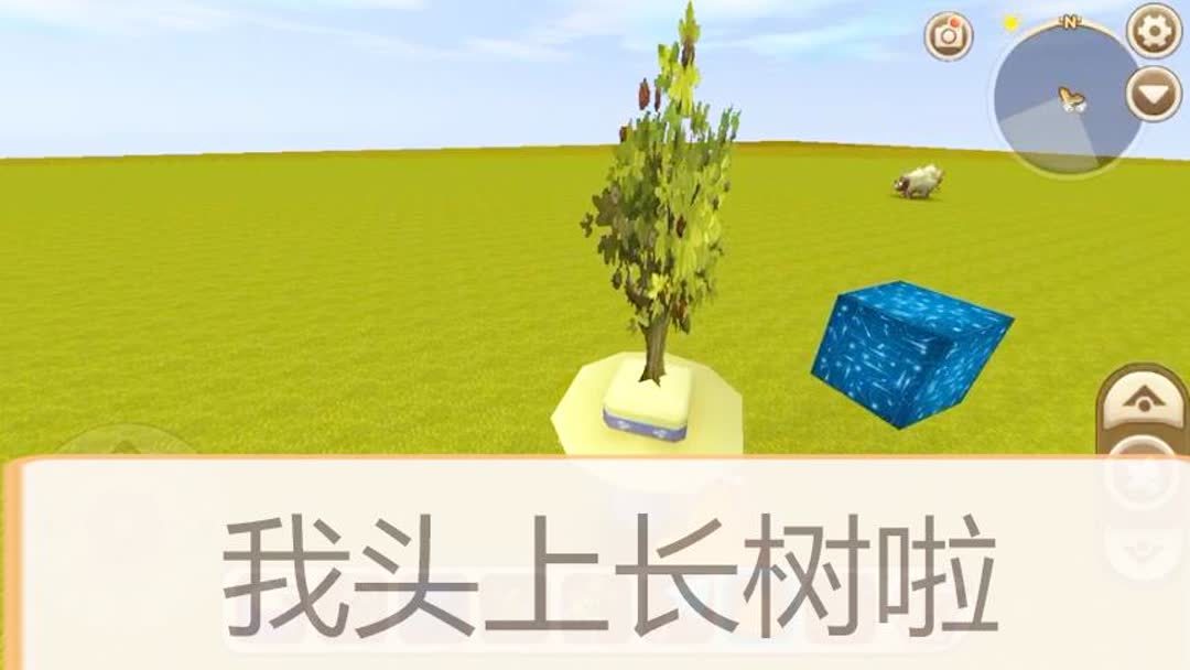 迷你世界:稻草人头顶居然开花了!还能够在上面种树呢