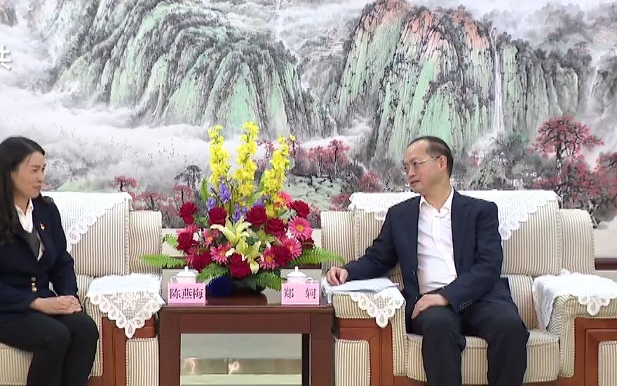 郑轲会见我市第八届全国道德模范提名奖获得者陈燕梅