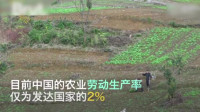 又一行业将被机器人替代,无人农场已开始商用