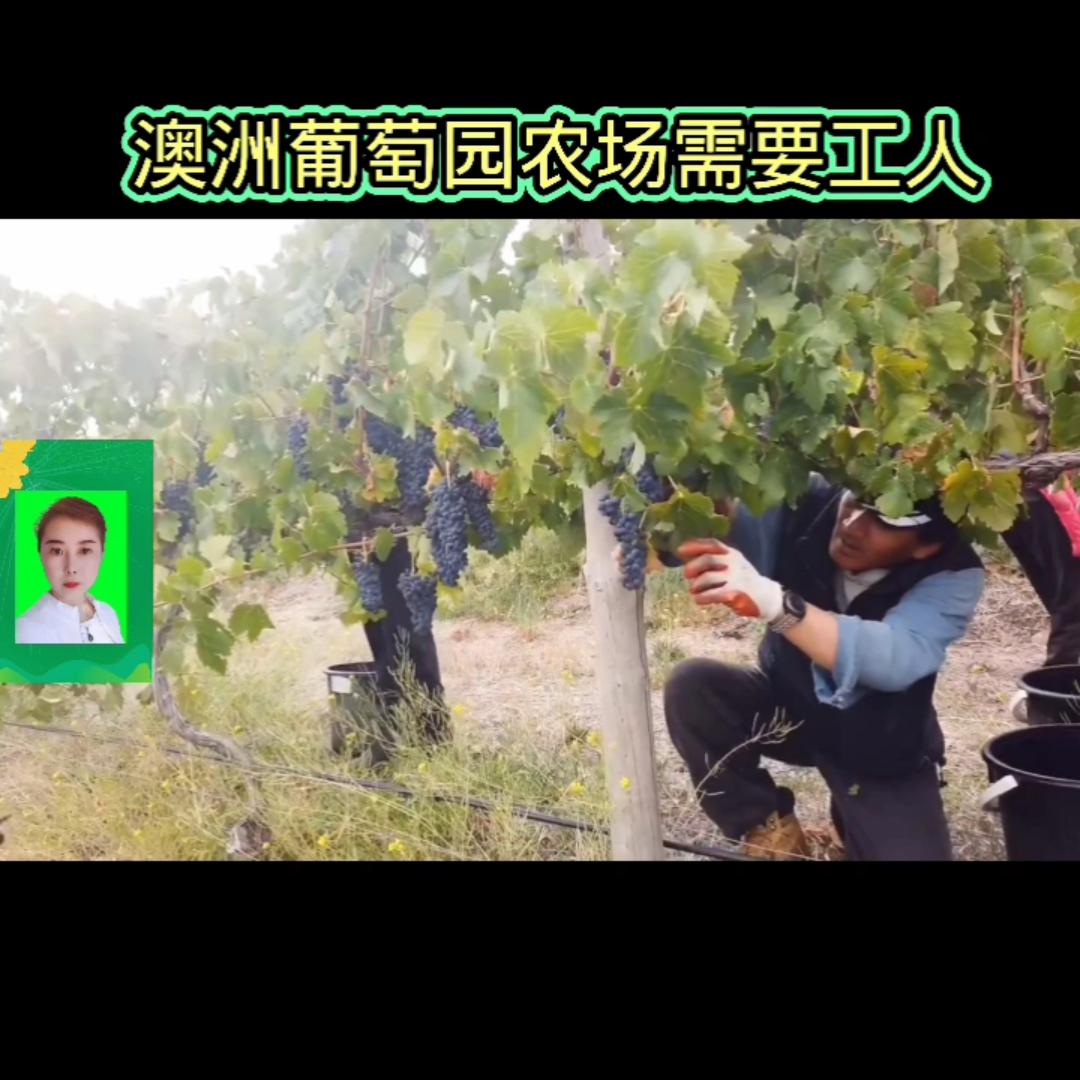 办理出国签证