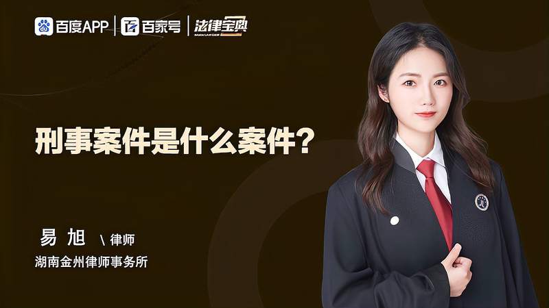 刑事案件是什么案件?