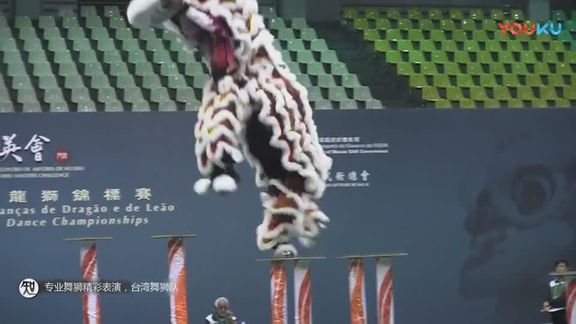 专业舞狮精彩表演, 舞狮队