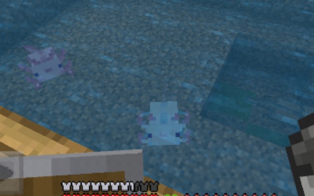 我的世界1.17纯生存